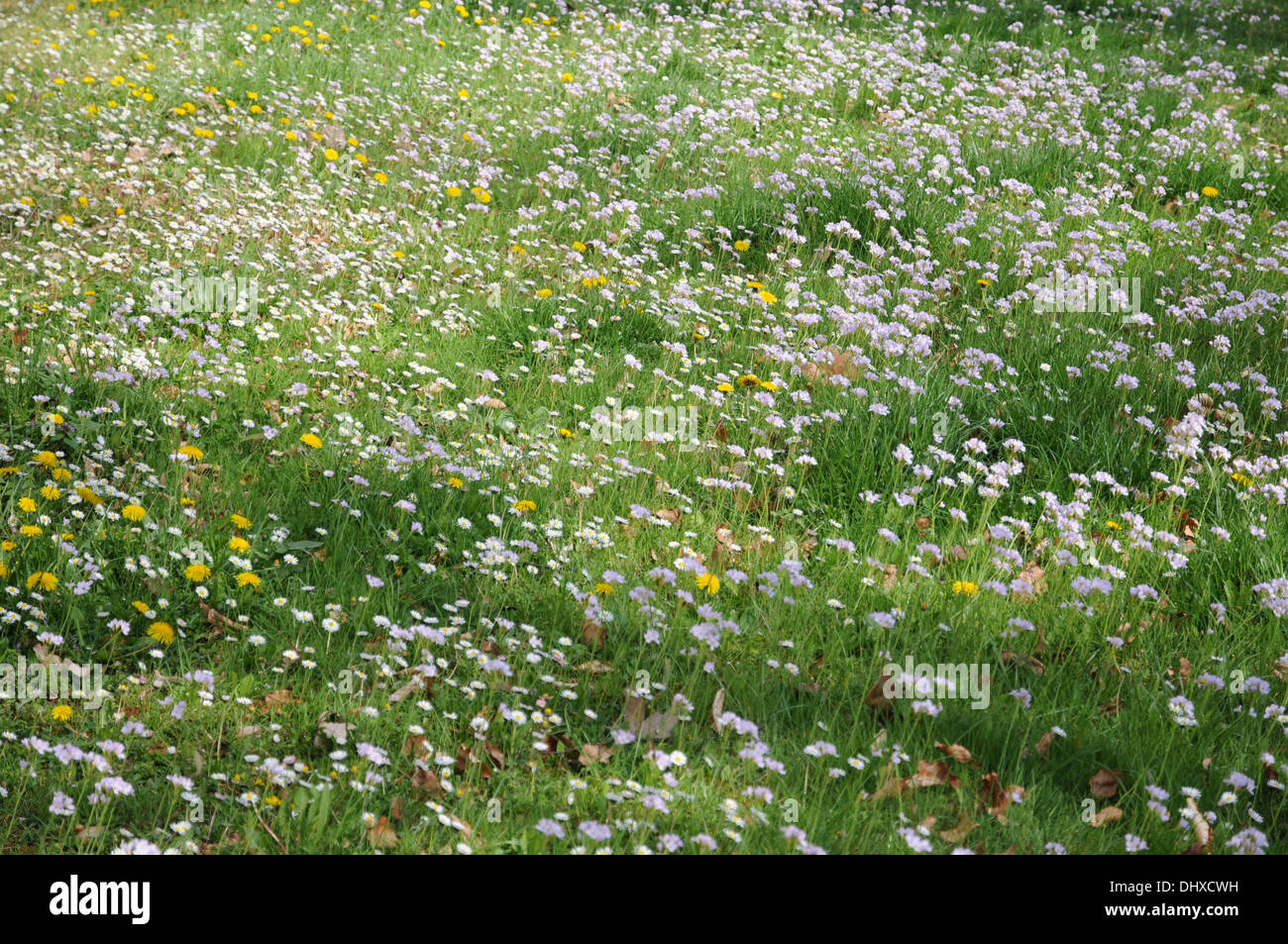 Meadow ladies smock hi-res stock photography and images - Alamy