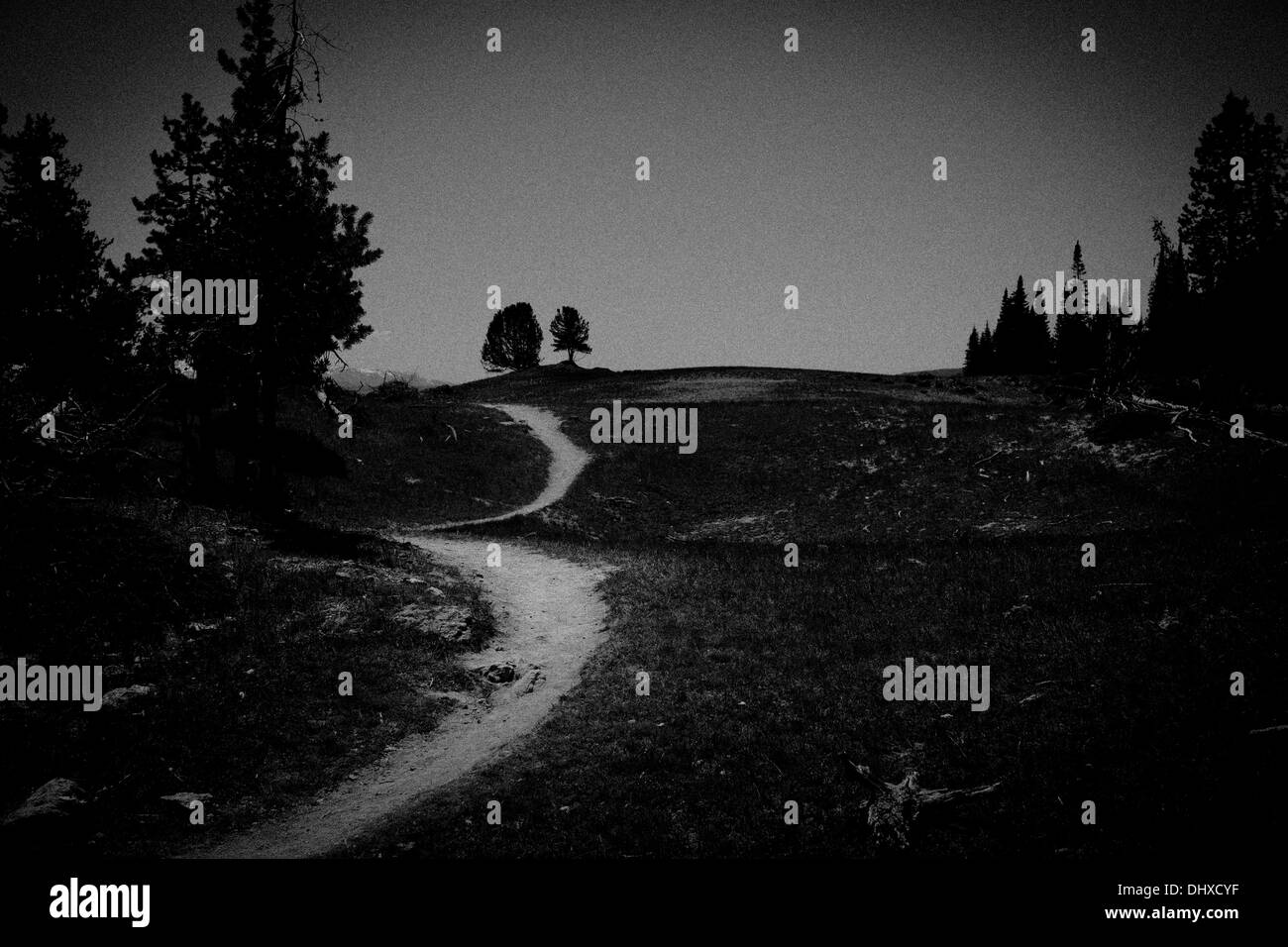 Hiking path Black and White Stock Photos & Images - Alamy