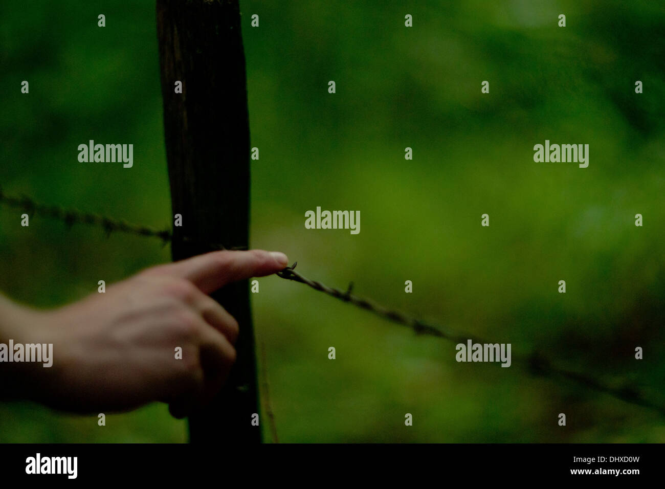 Hand touching barbed wire barbed wire hi-res stock photography and ...