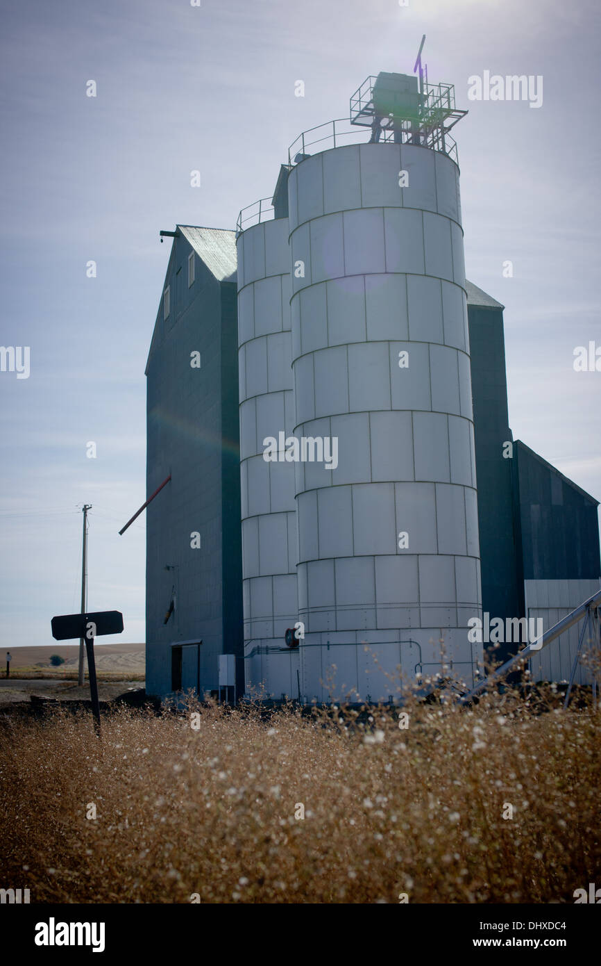 Grain Storage Building and Two Industrial Silos Stock Photo - Alamy