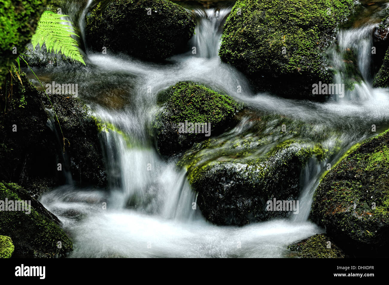 Stones rocks in water stream hi-res stock photography and images - Alamy