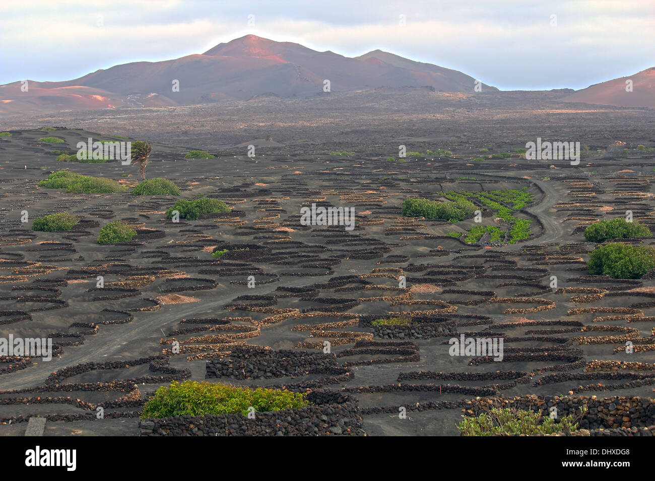 Growing into rust hi-res stock photography and images - Alamy