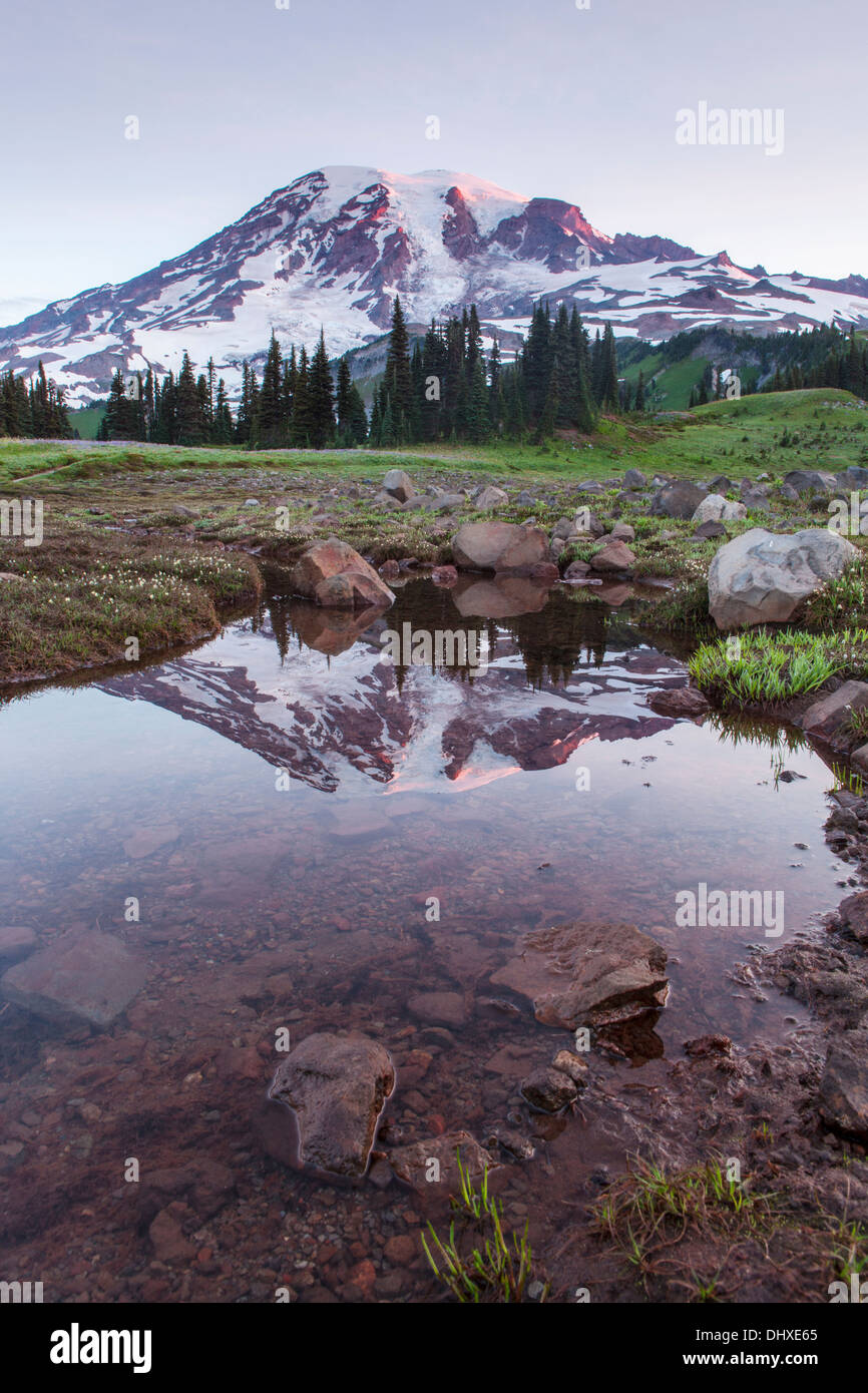 Mount Rainier reflected in a pool on Mazama Ridge, Mount Rainier ...