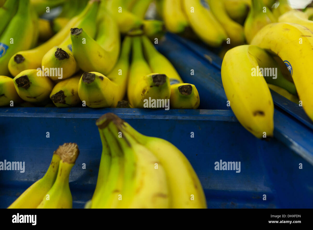 Banana Supermarket Stock Photos & Banana Supermarket Stock Images - Alamy