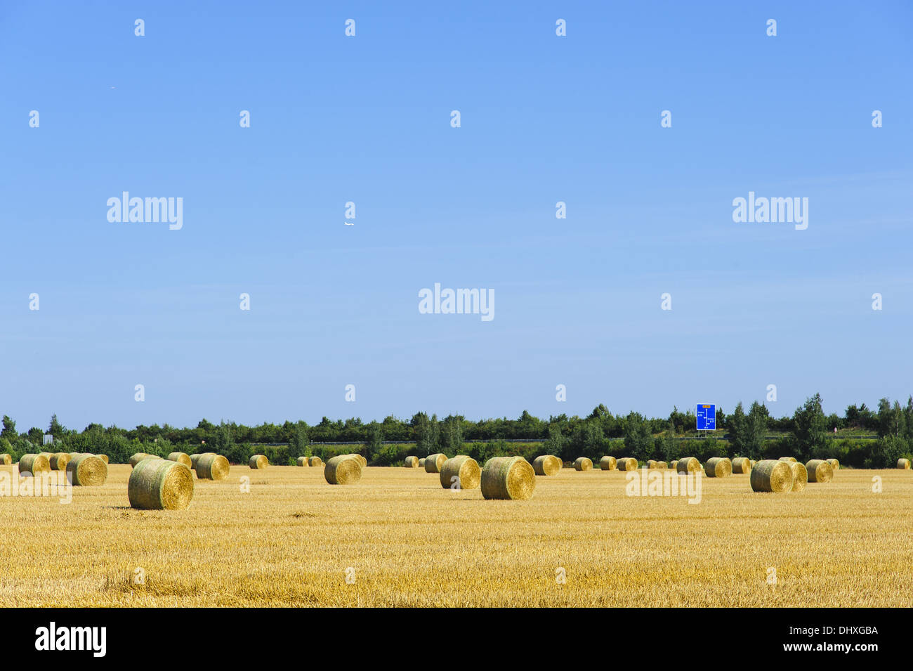 harvested corn field with straw bales Stock Photo - Alamy
