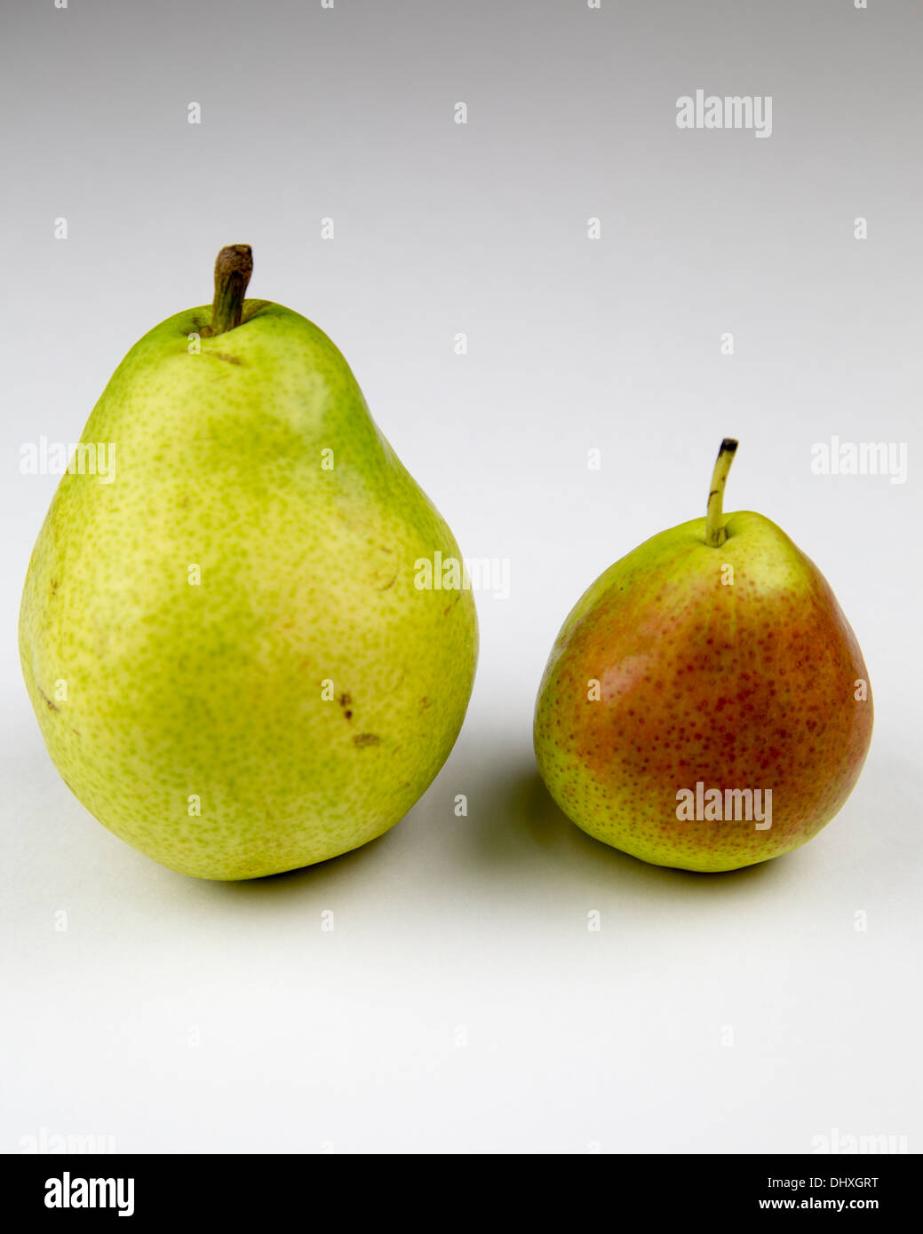 Single Fruit With Name