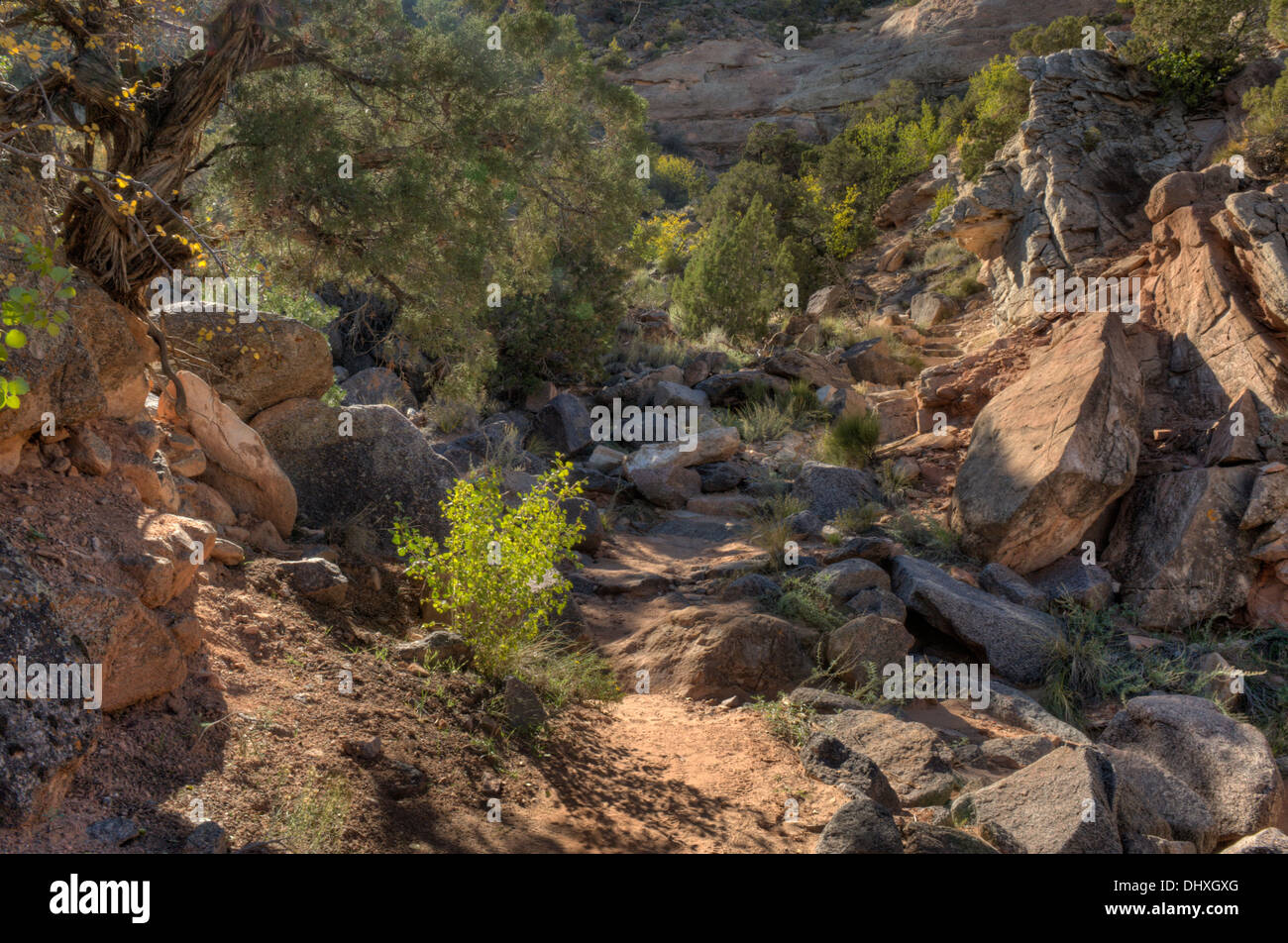 Liberty trail hi-res stock photography and images - Alamy