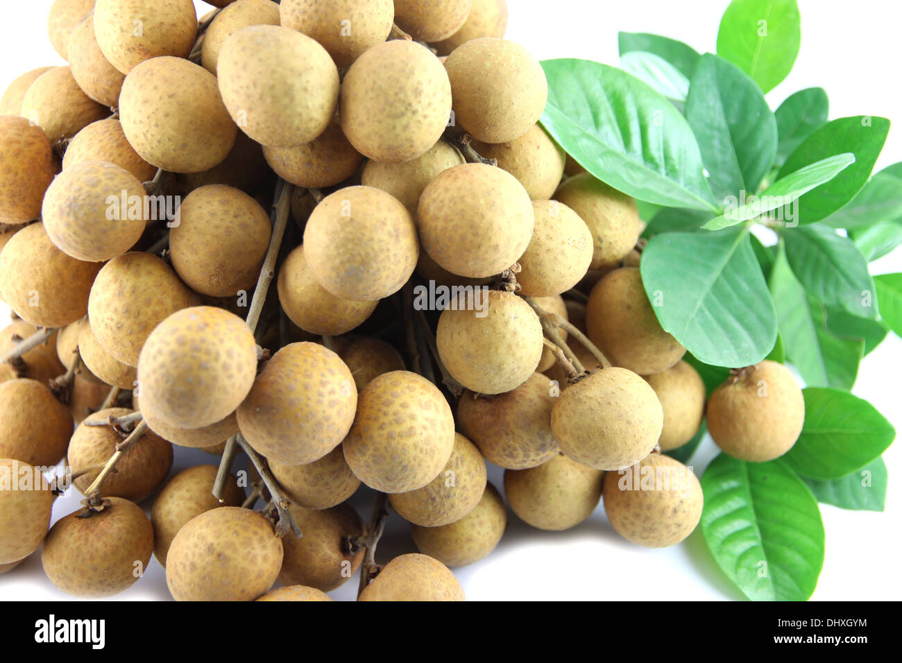 Close up longan of fruit on a white background Stock Photo - Alamy