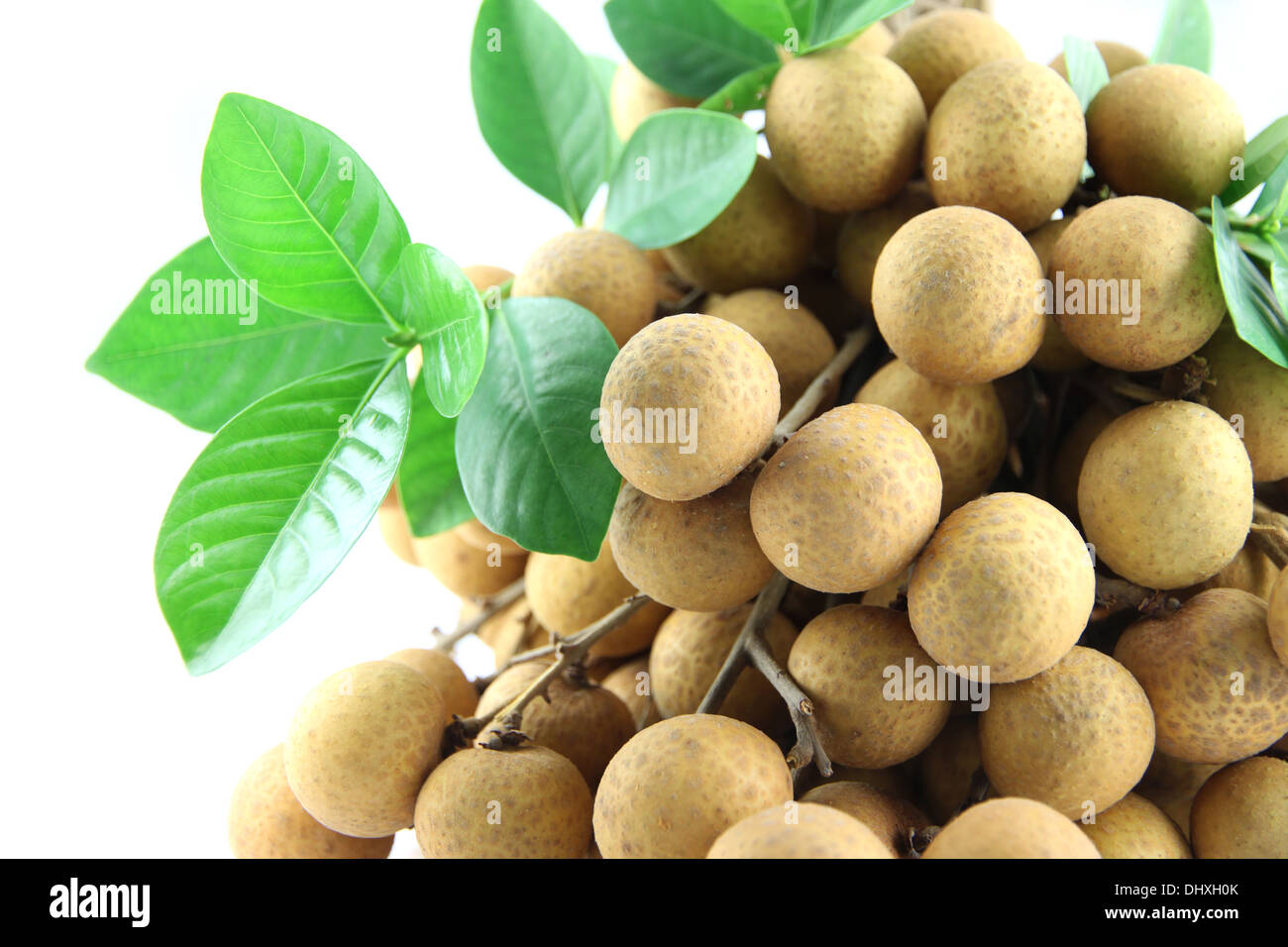Close up fruit on hi-res stock photography and images - Alamy