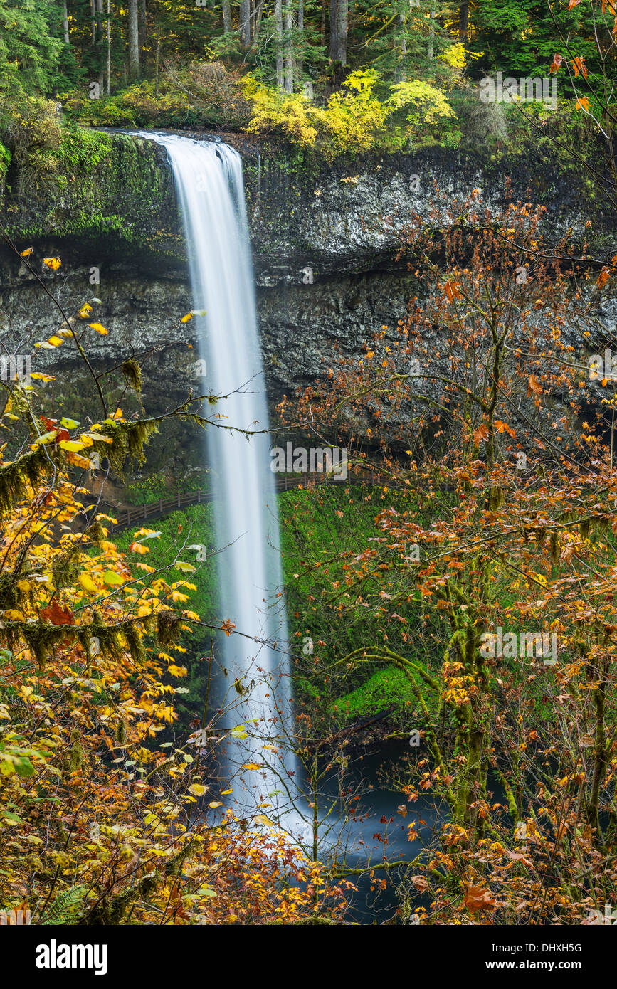 South Falls, Silver Falls State Park, Oregon Stock Photo - Alamy