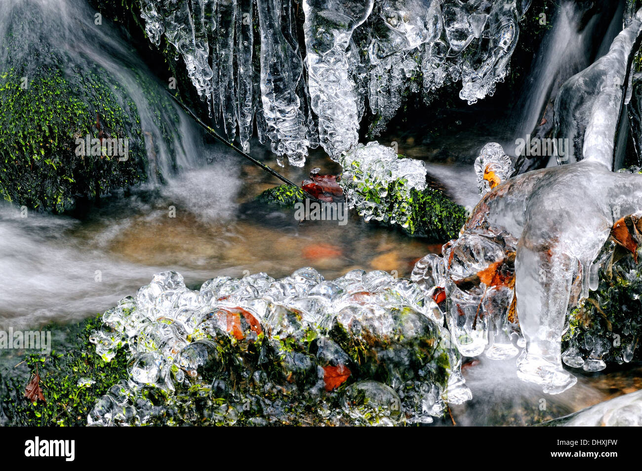 In ice-cold water Stock Photo - Alamy