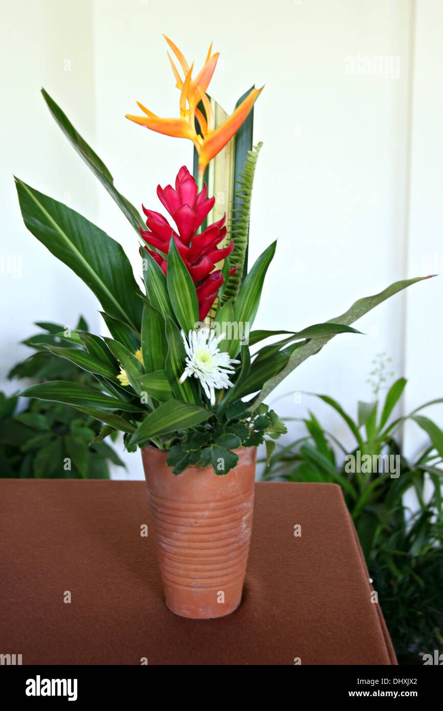 Table with shelter hi-res stock photography and images - Alamy