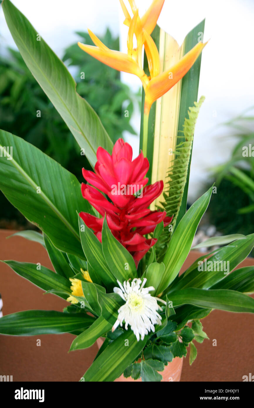 Pottery table hi-res stock photography and images - Alamy