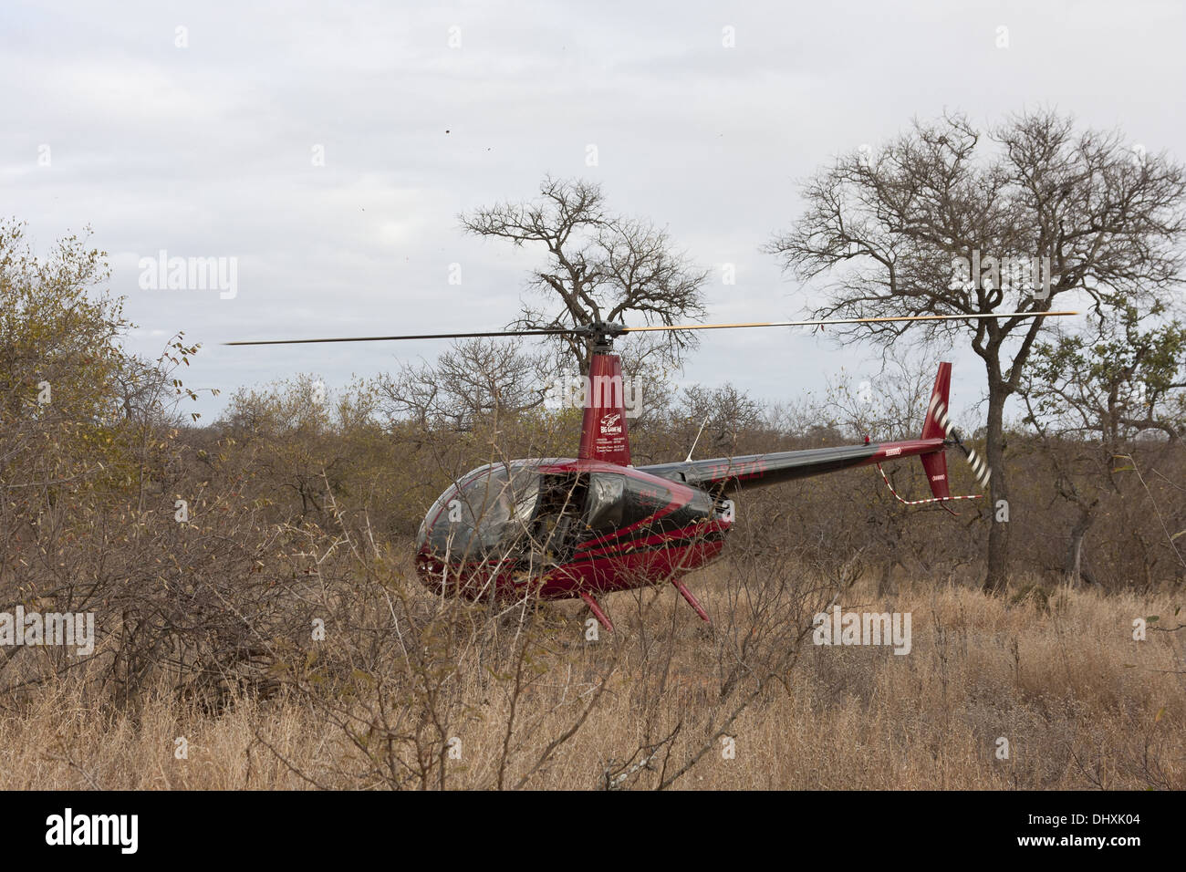 Helicopter in the bush of South Africa Stock Photo - Alamy
