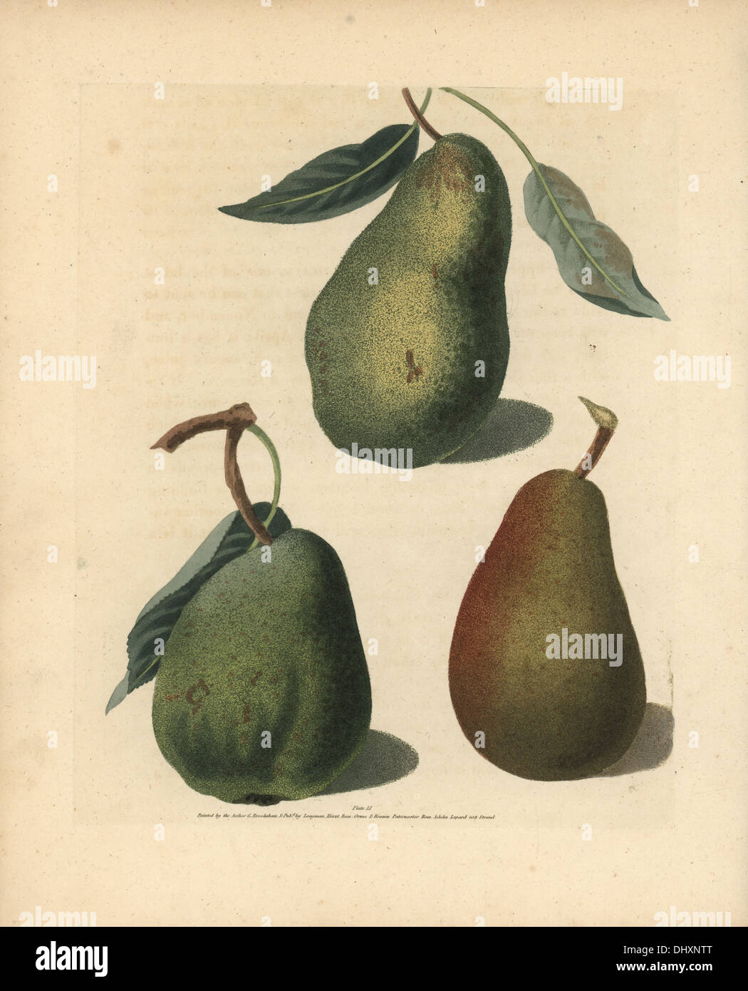 Beuree hi-res stock photography and images - Alamy