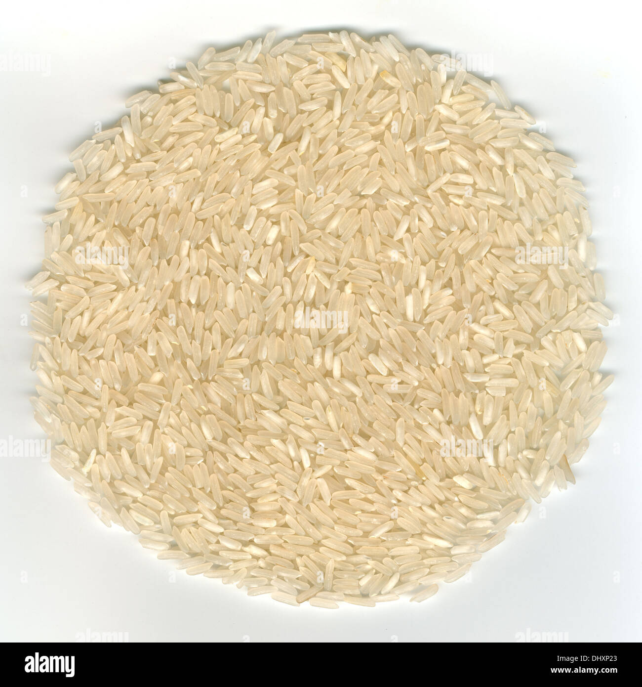 kernels rice (high resolution closeup Stock Photo - Alamy