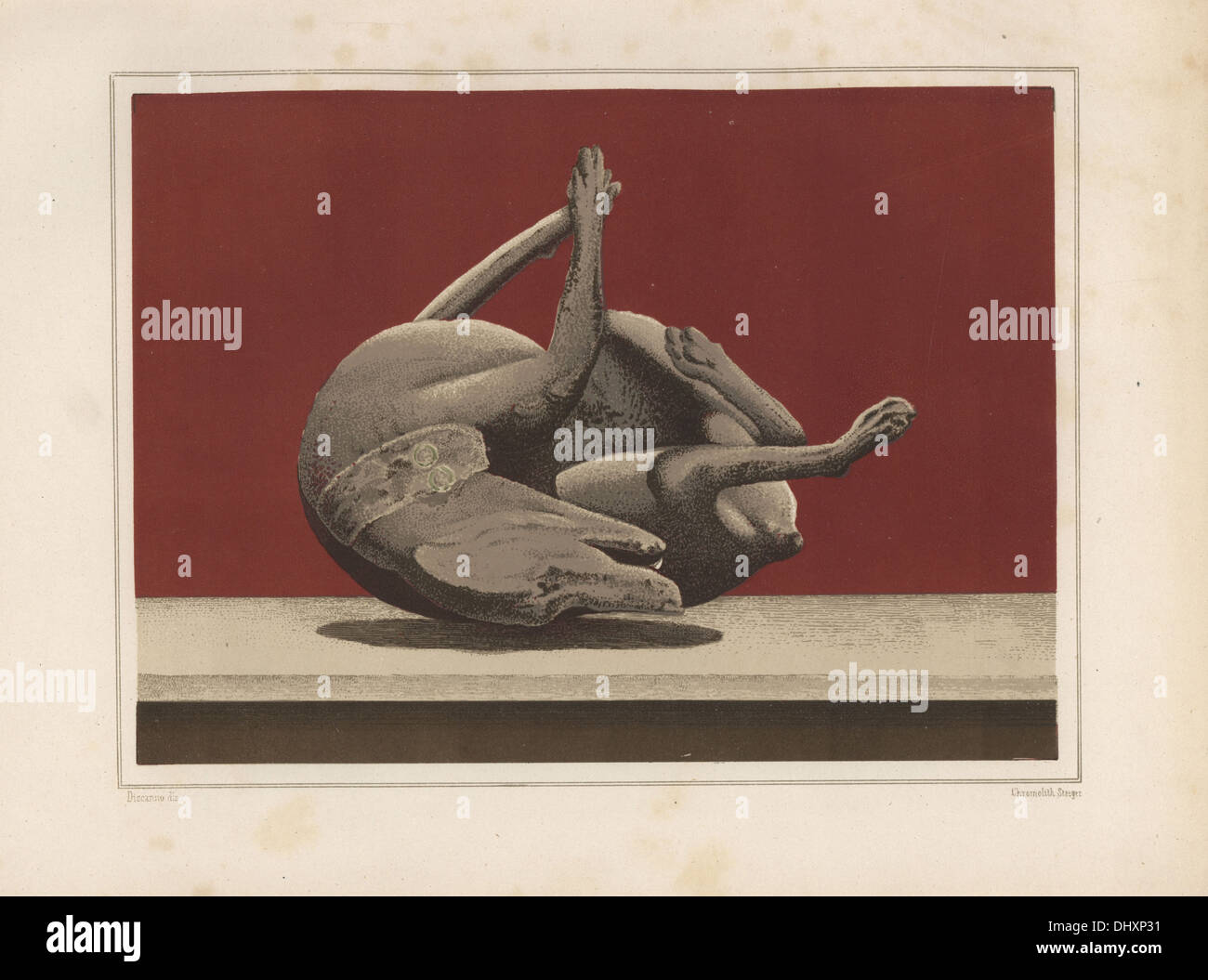 Painting a dog house hi-res stock photography and images - Alamy