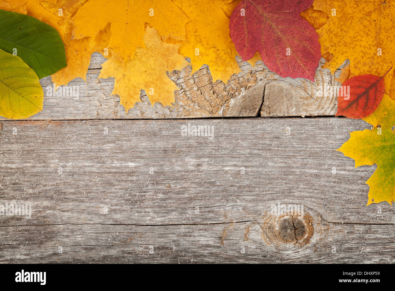 Autumn leaves on wood texture background Stock Photo - Alamy