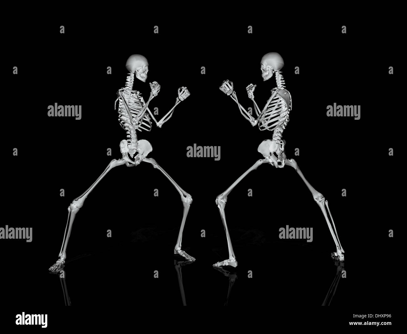 Man boxing skeleton hi-res stock photography and images - Alamy