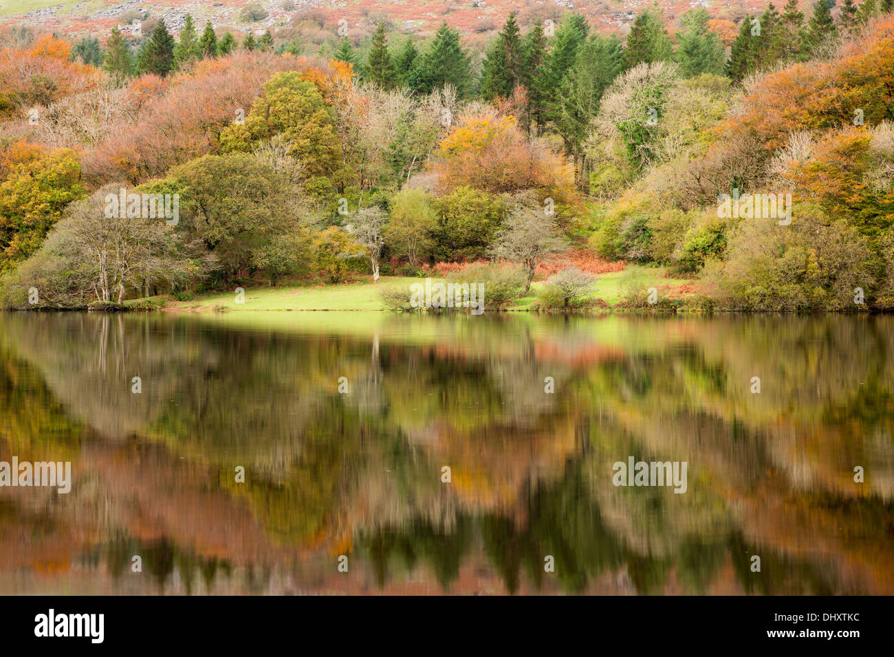Burrator reservoir hi-res stock photography and images - Alamy