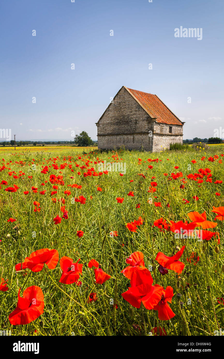 Appleton hi-res stock photography and images - Alamy