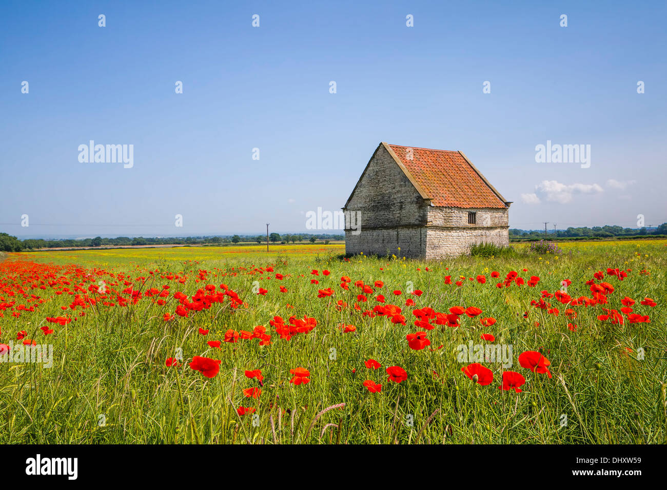 Field barn at Appleton-le-Street in the Ryedale district of North ...