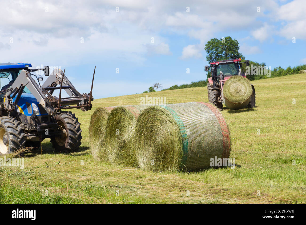 Tractor harvesting rolls grass in the agricultural landscape Stock ...