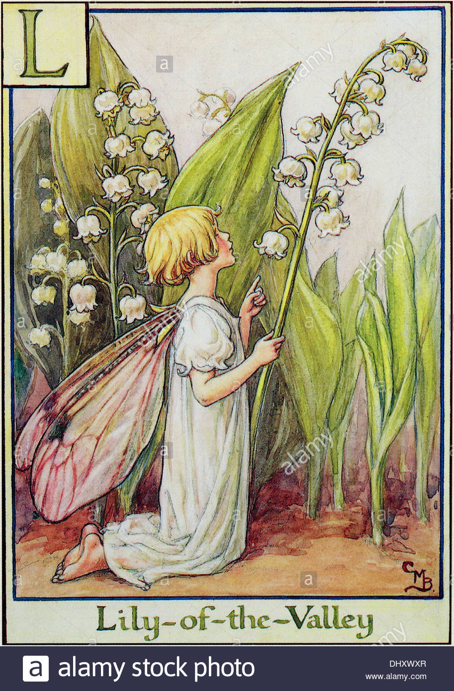 Flower Fairies Cicely Mary Barker Stock Photos & Flower Fairies Cicely ...