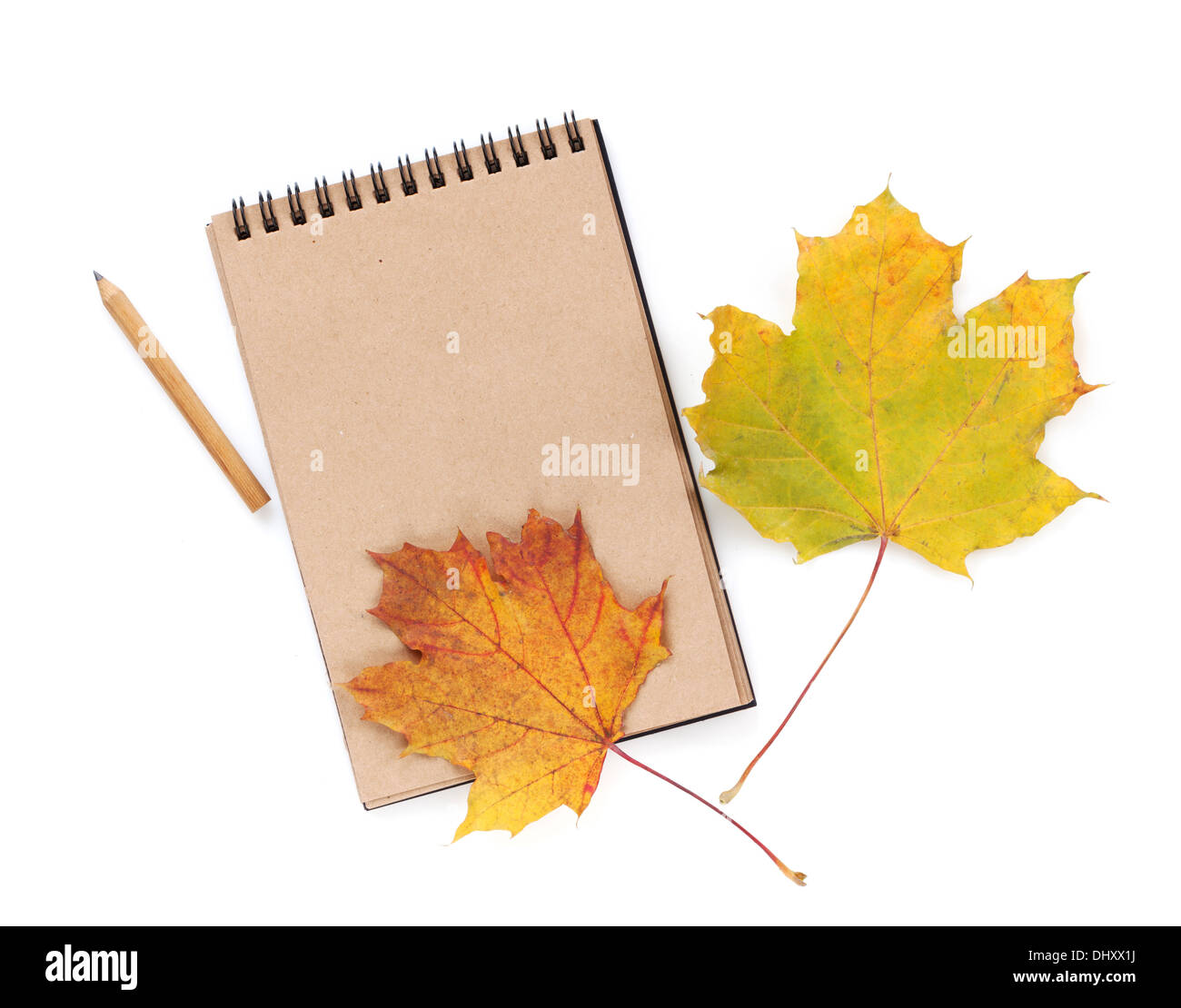 Brown paper notepad with pencil and autumn leaves. Isolated on white ...