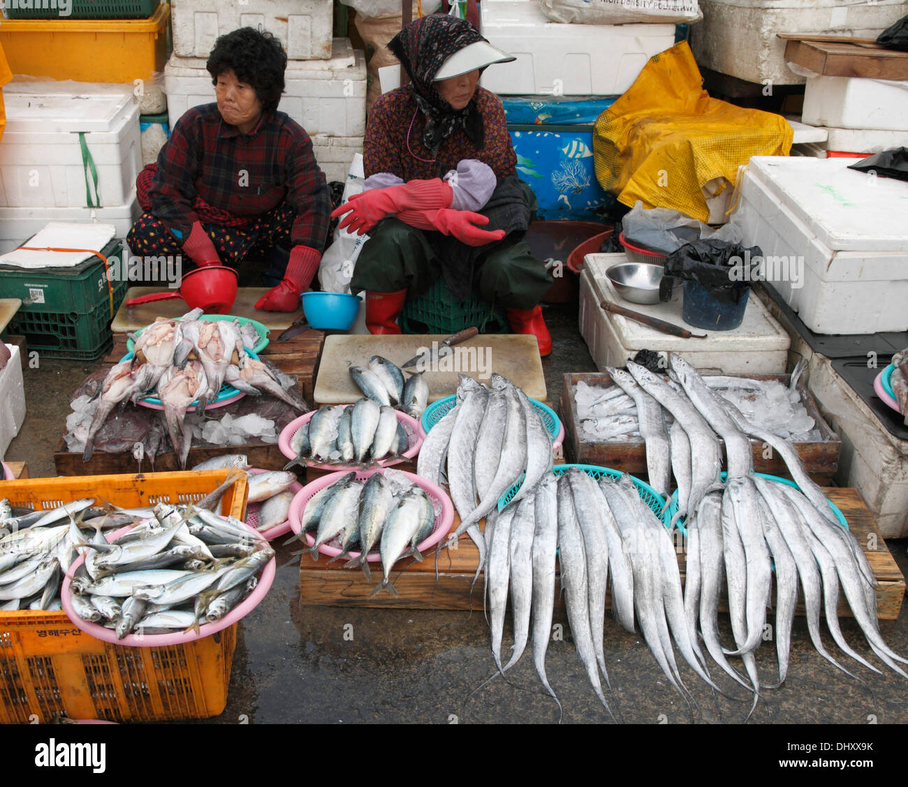 South Korea, Busan, Jagalchi Fish Market Stock Photo - Alamy