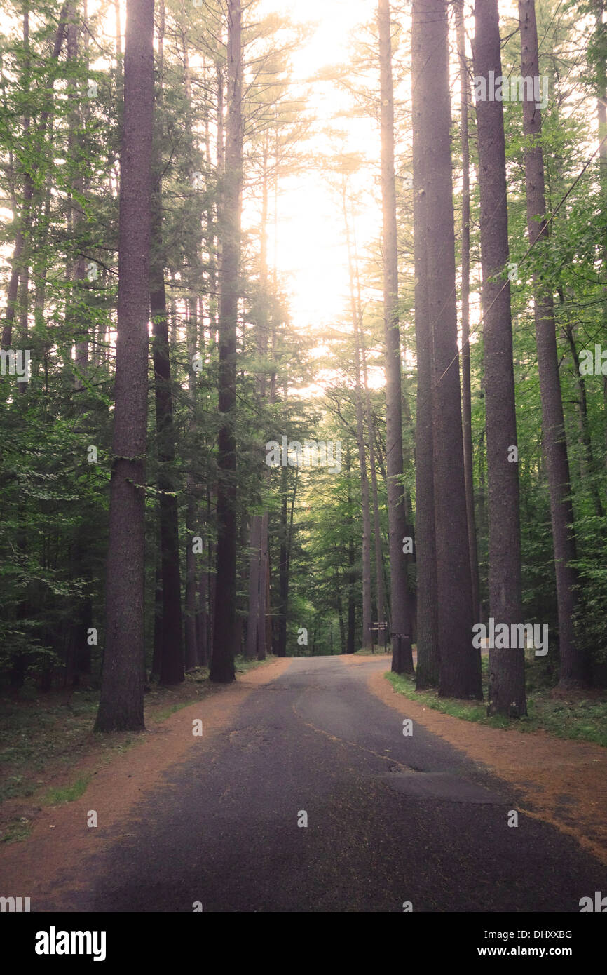 state camp ground road Stock Photo - Alamy