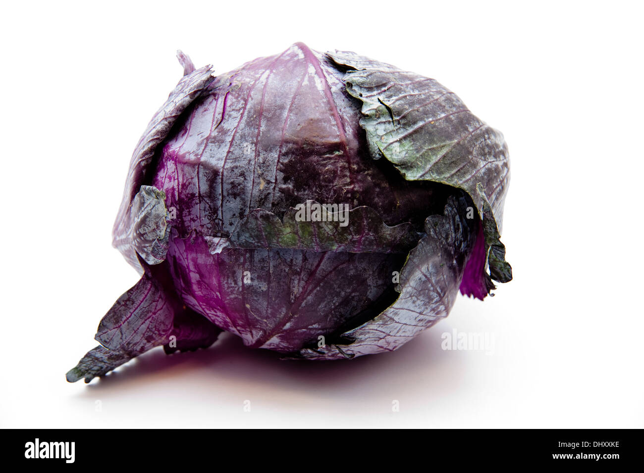 Fresh red cabbage Stock Photo - Alamy