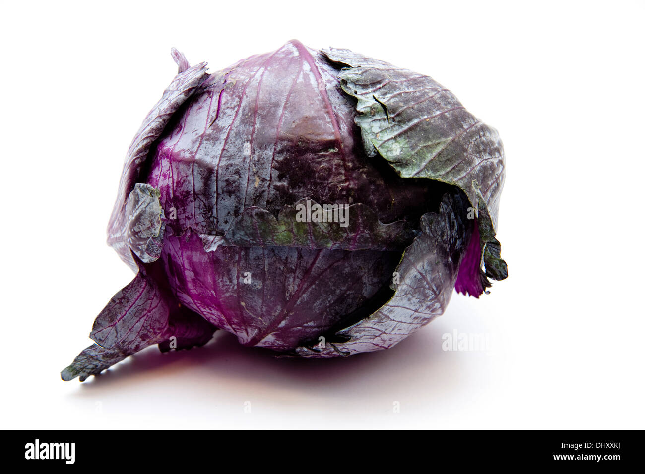 Fresh red cabbage Stock Photo - Alamy