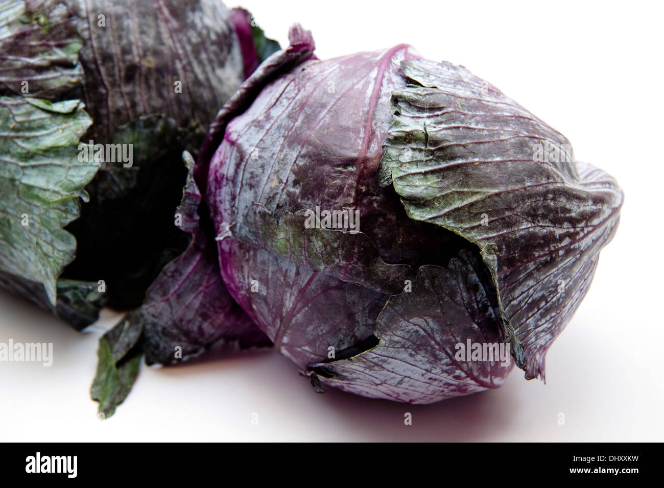 Fresh red cabbage Stock Photo - Alamy