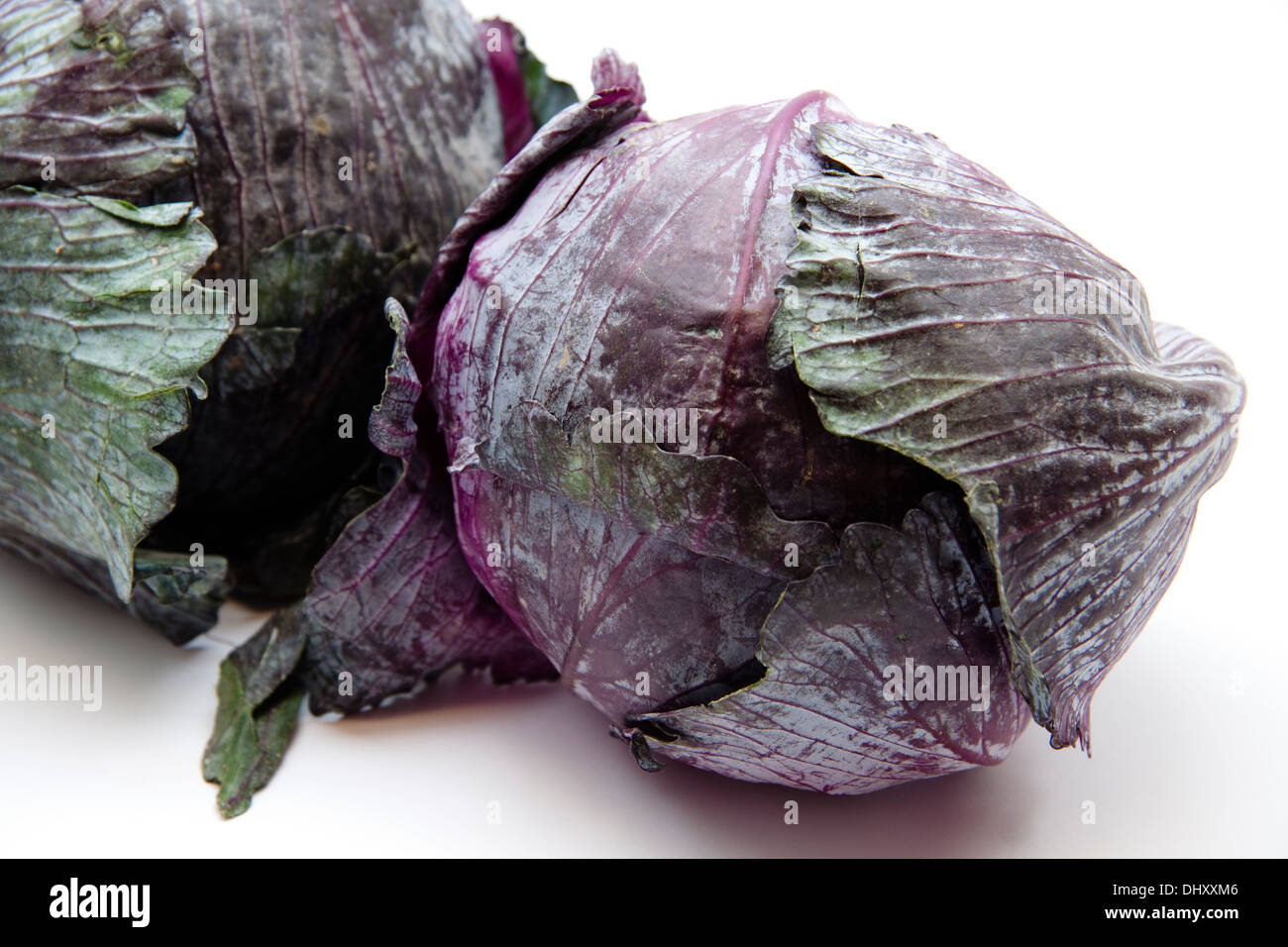 Fresh red cabbage Stock Photo - Alamy