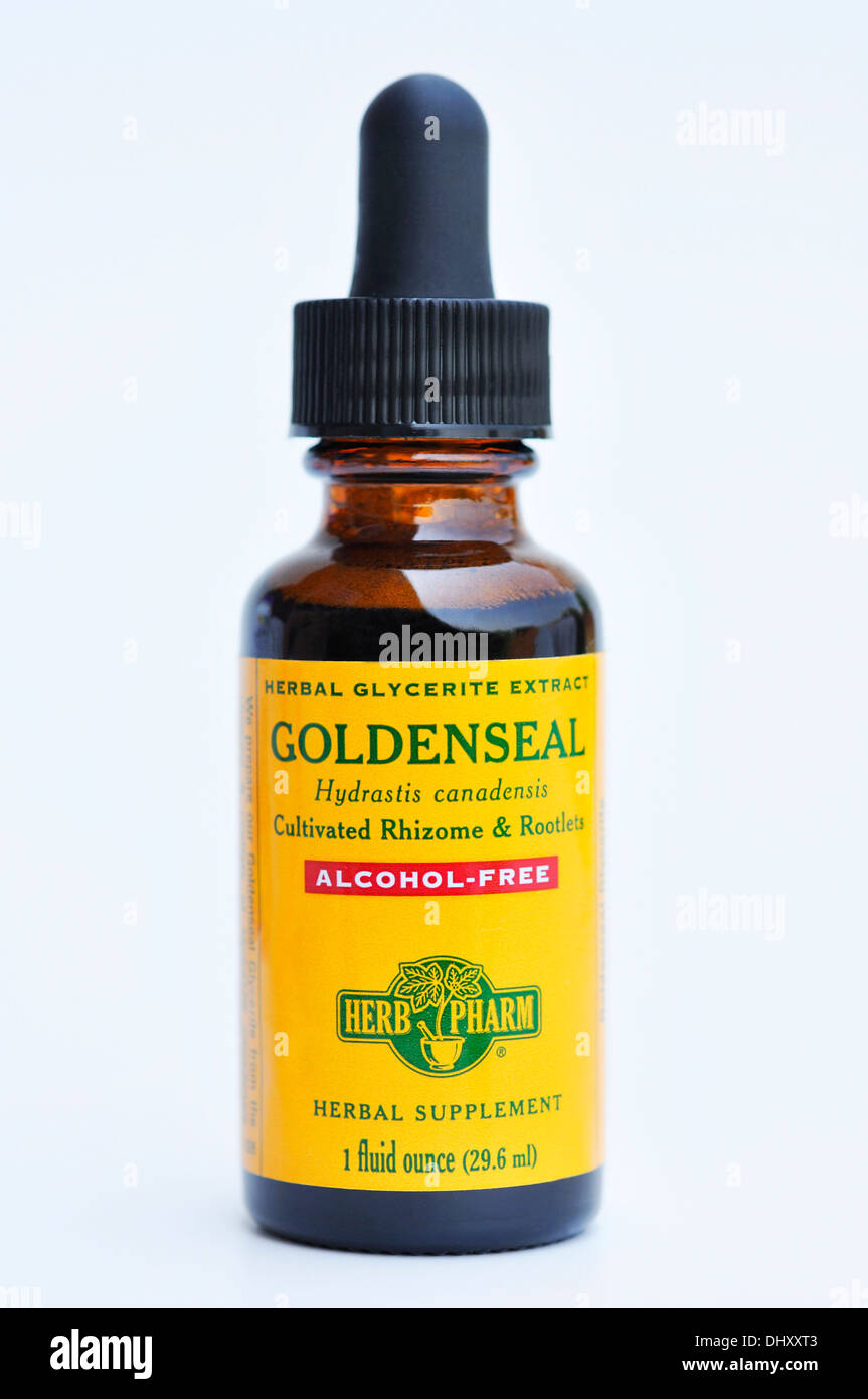 Goldenseal hi-res stock photography and images - Alamy