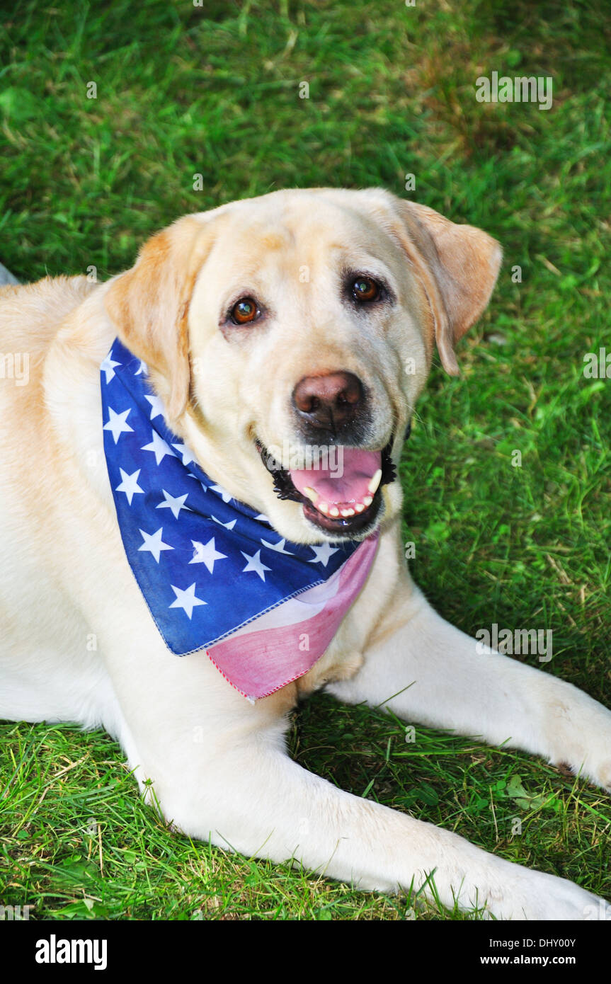 Yellow bandanna hi-res stock photography and images - Alamy
