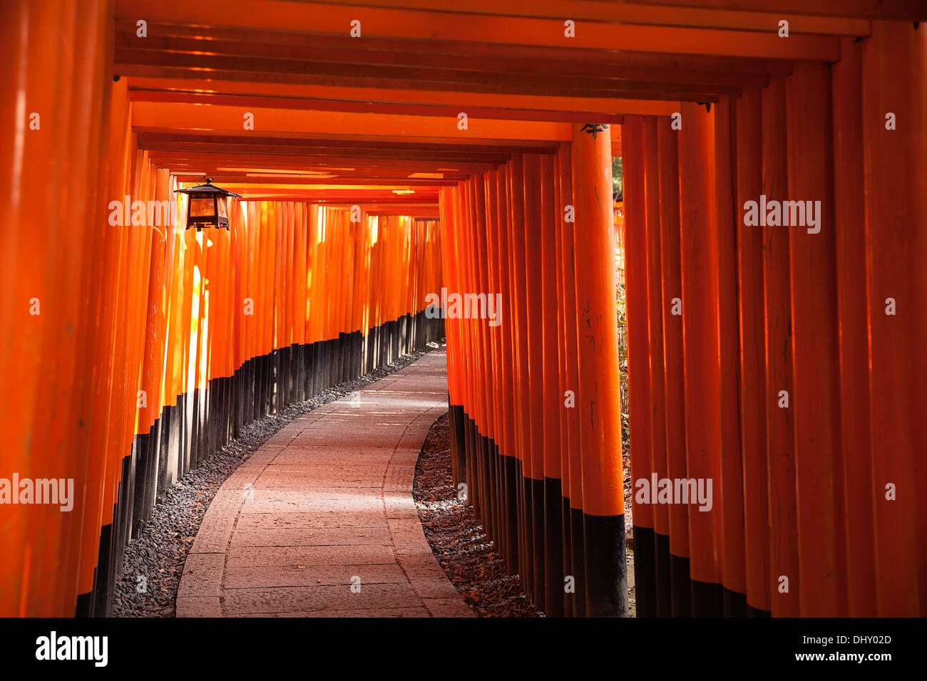 Path Through Torii Gates Stock Photo - Alamy