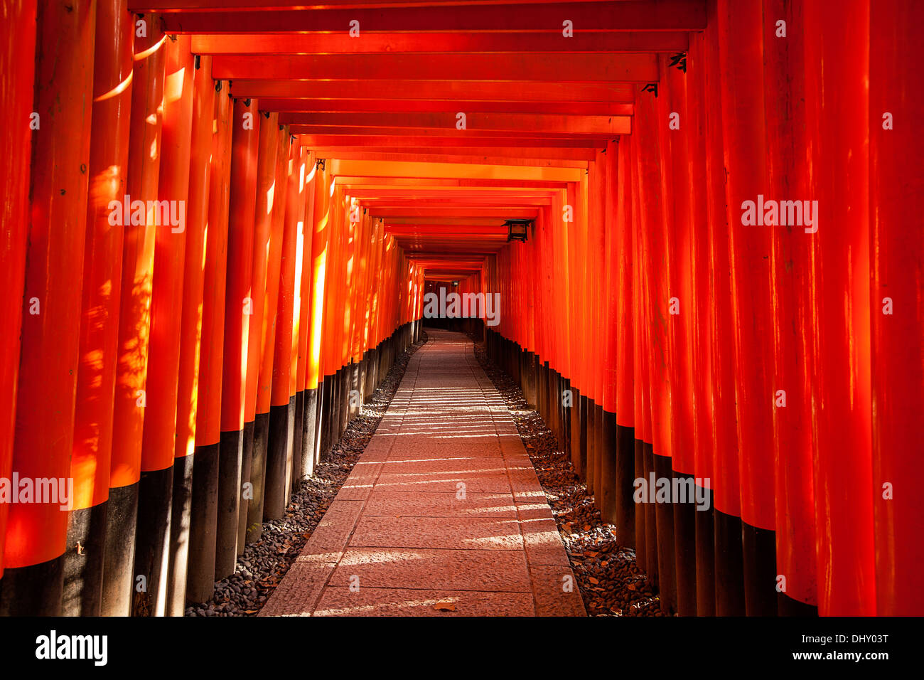 Walkway Between Torii Gates Stock Photo - Alamy