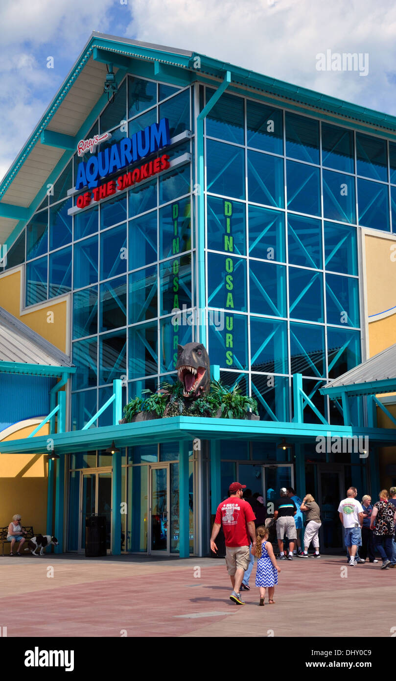 Ripley's Aquarium of the Smokies, Gatlinburg, Tennessee, USA Stock ...