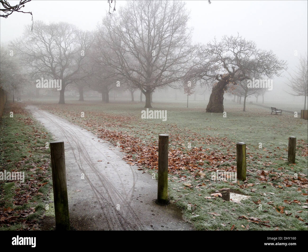 Path covered in frost with bare winter trees, George Green, Wanstead ...