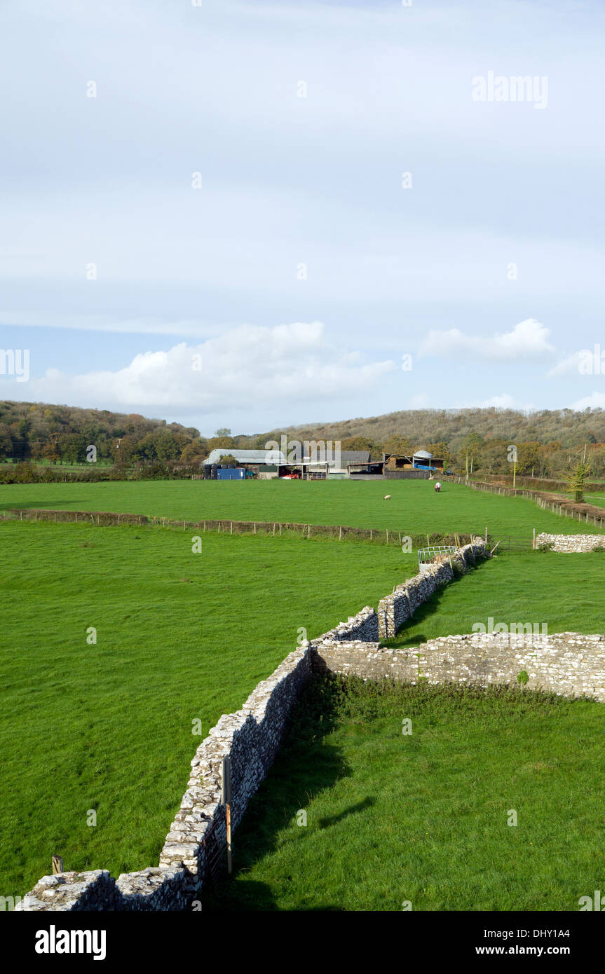 Old welsh farm house hi-res stock photography and images - Alamy