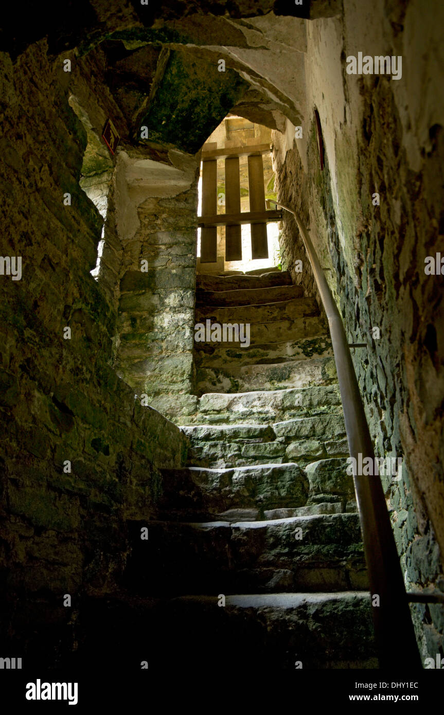 Old Beaupre Castle, St Hilary near Cowbridge, Vale of Glamorgan, South ...