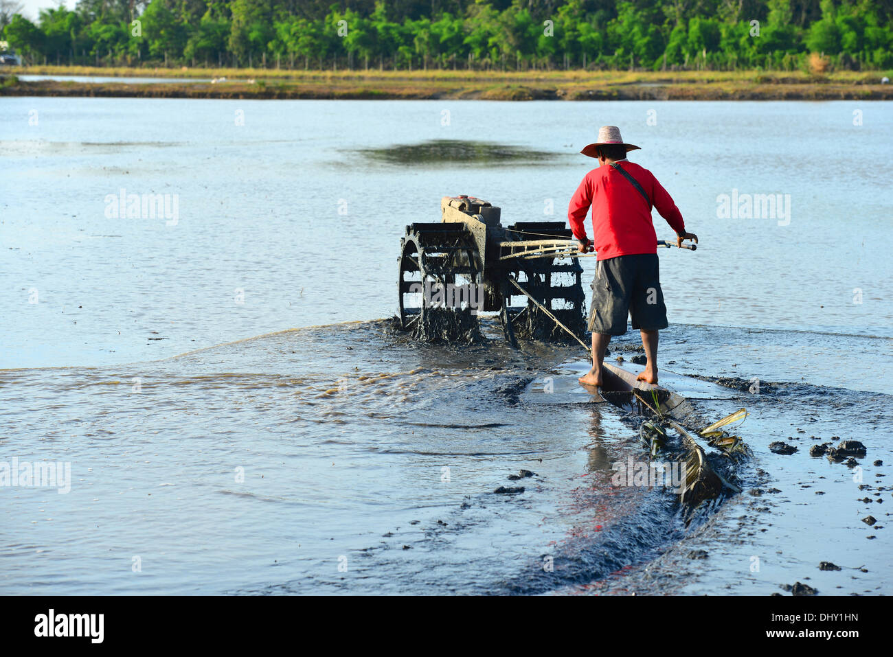 farmer plowing rice fields Stock Photo - Alamy