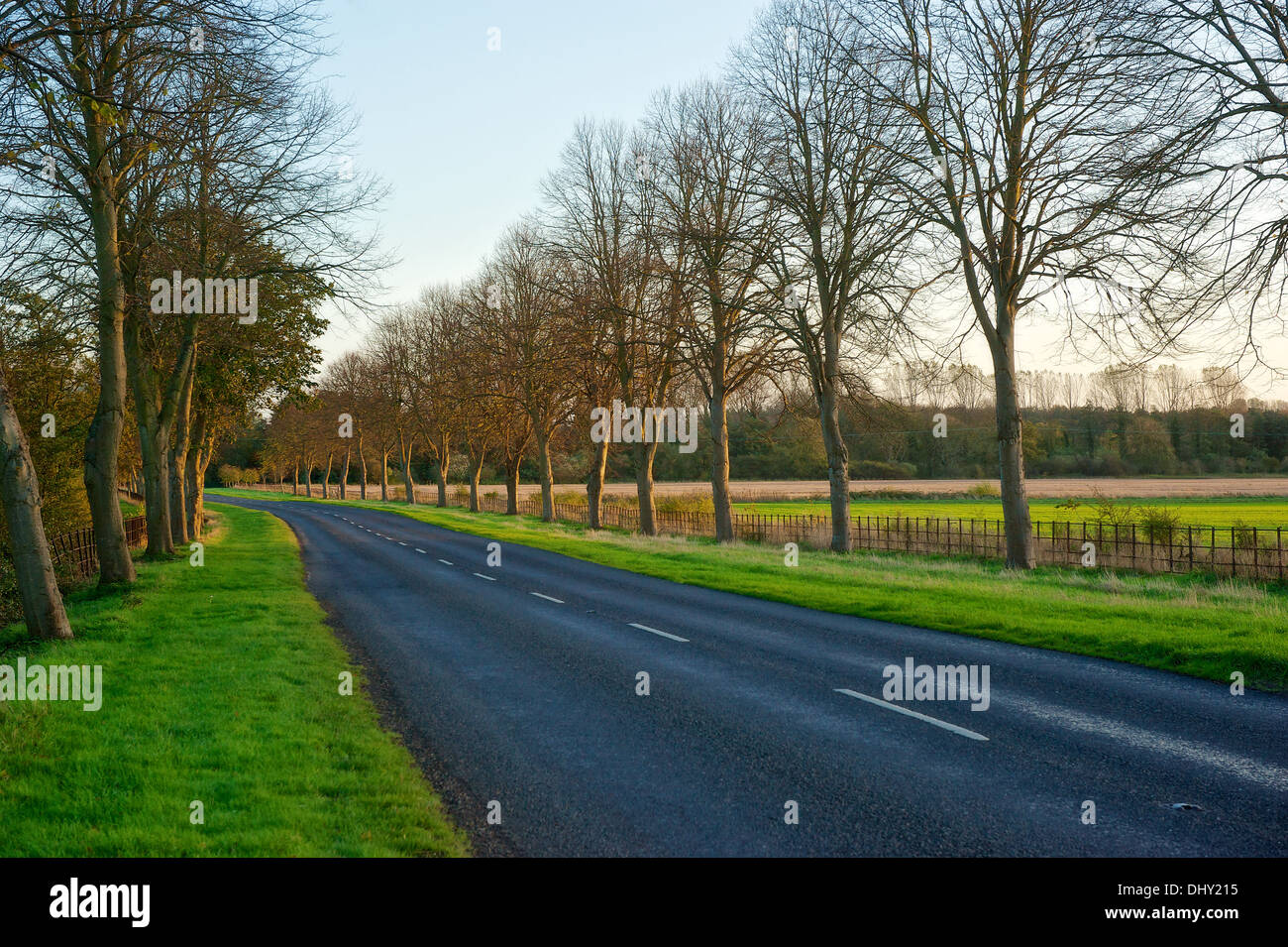 B1440 hi-res stock photography and images - Alamy