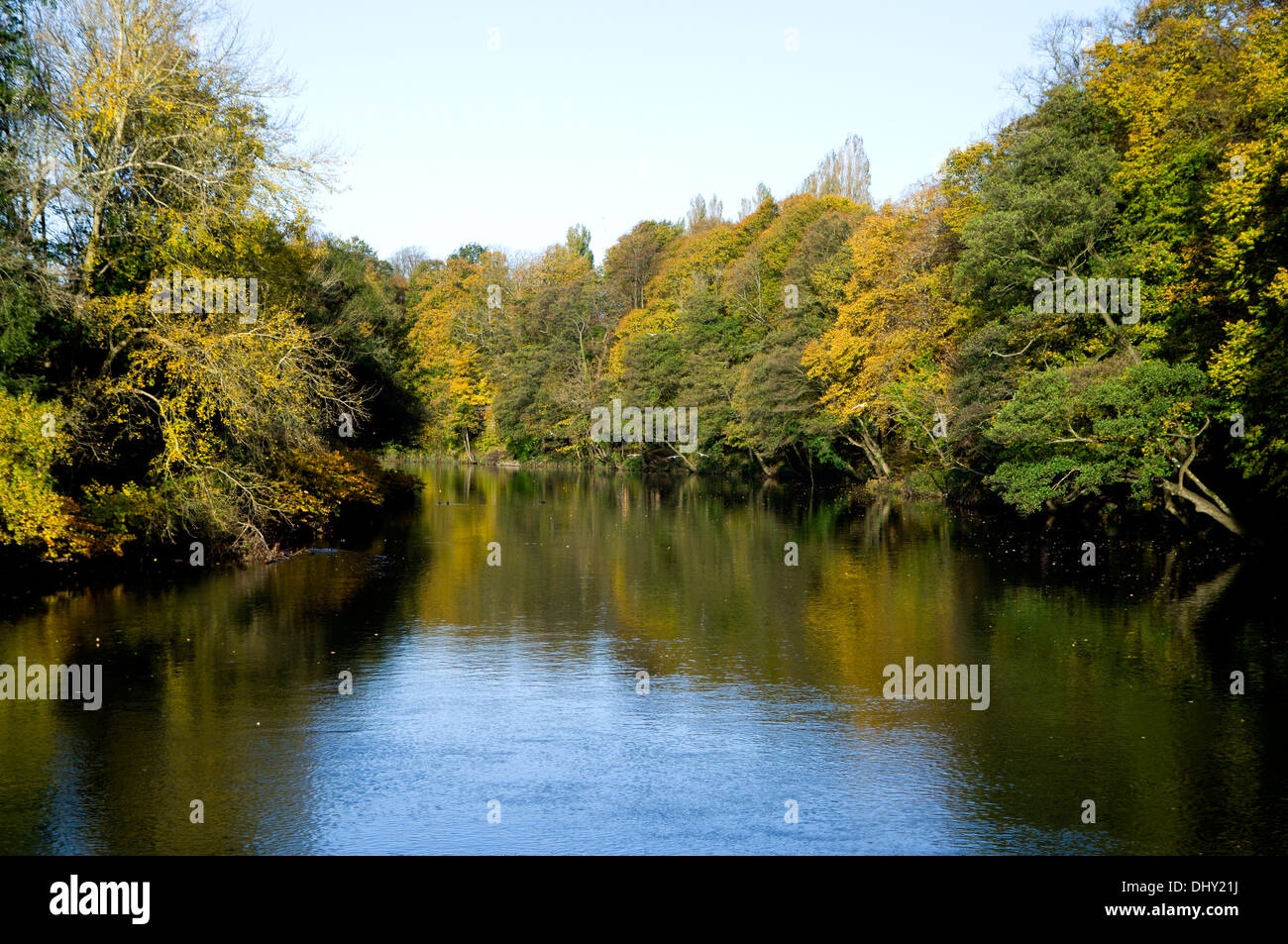 River Taff and Autumn colours, Blackweir, Pontcanna, Cardiff, Wales ...