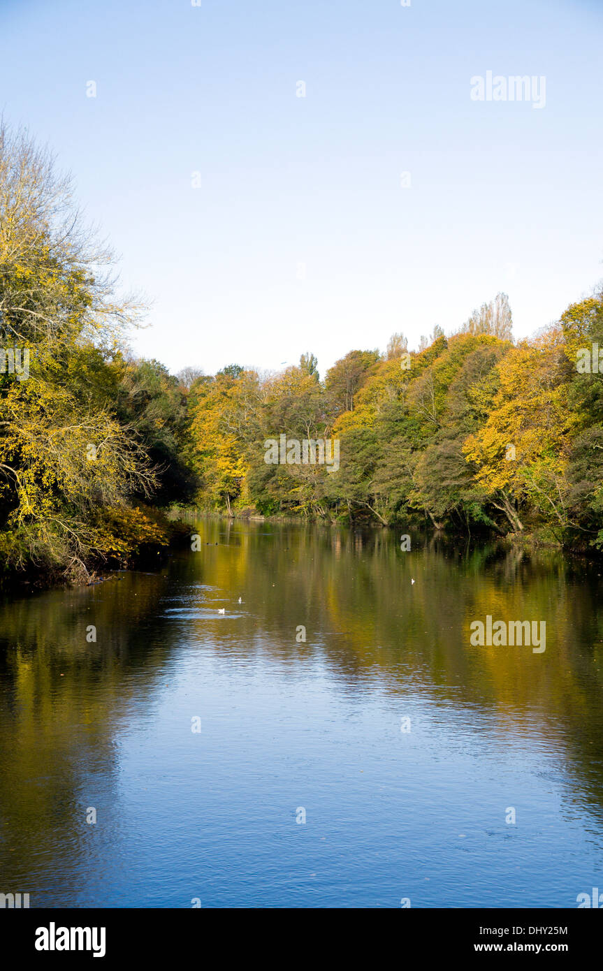 Pontcanna hi-res stock photography and images - Alamy
