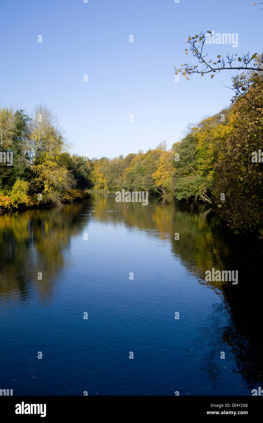 River Taff and Autumn colours, Blackweir, Pontcanna, Cardiff, Wales ...