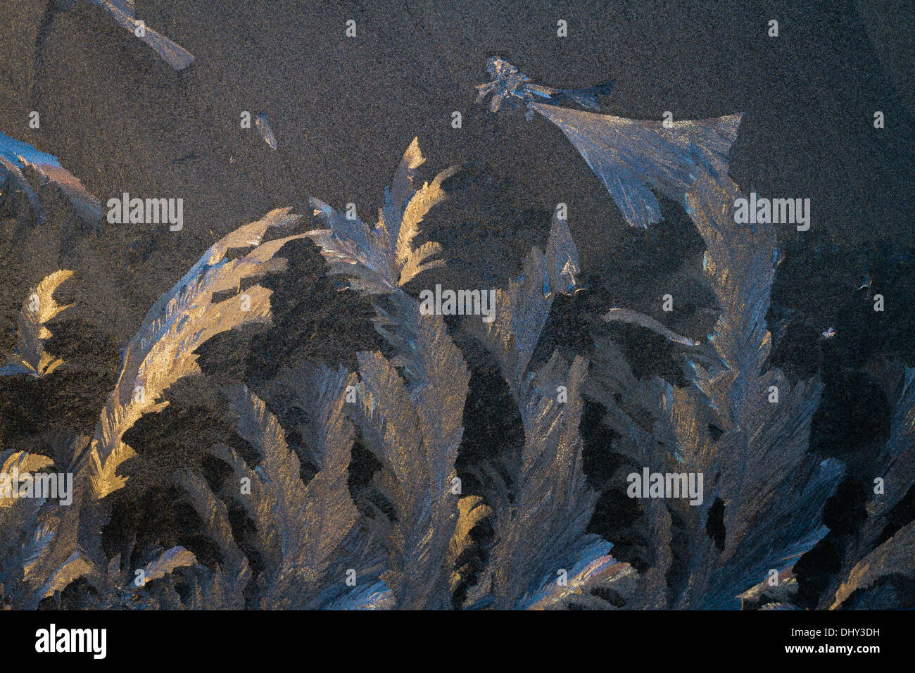 Jack frost on window hi-res stock photography and images - Alamy