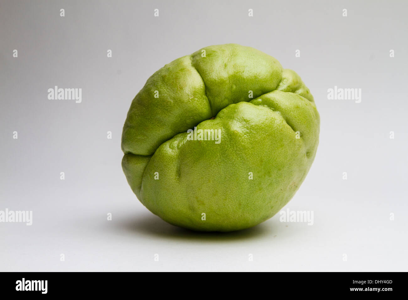 Chayote squash hi-res stock photography and images - Alamy